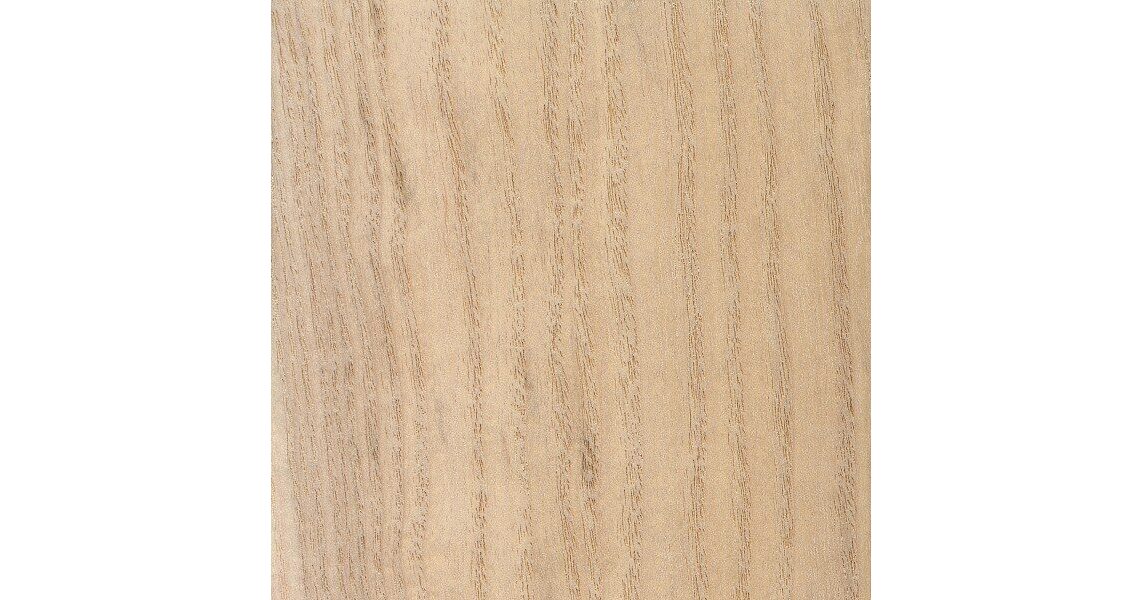 Paulownia Timber | Lightweight and Durable Eco-Friendly Solutions by ...